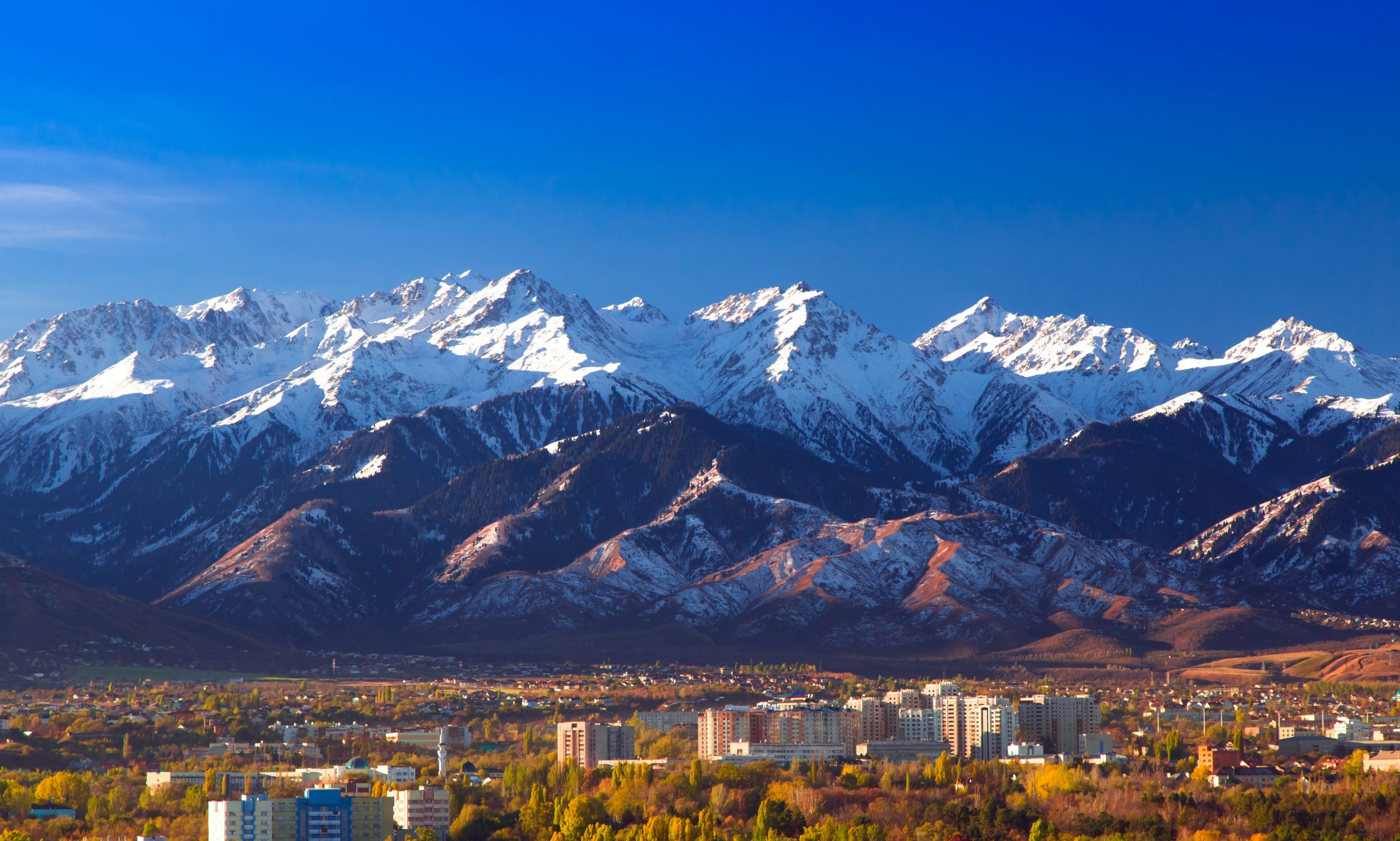 Udachi Edition - udachi.co.th : บริษัท อูดาชี จำกัด