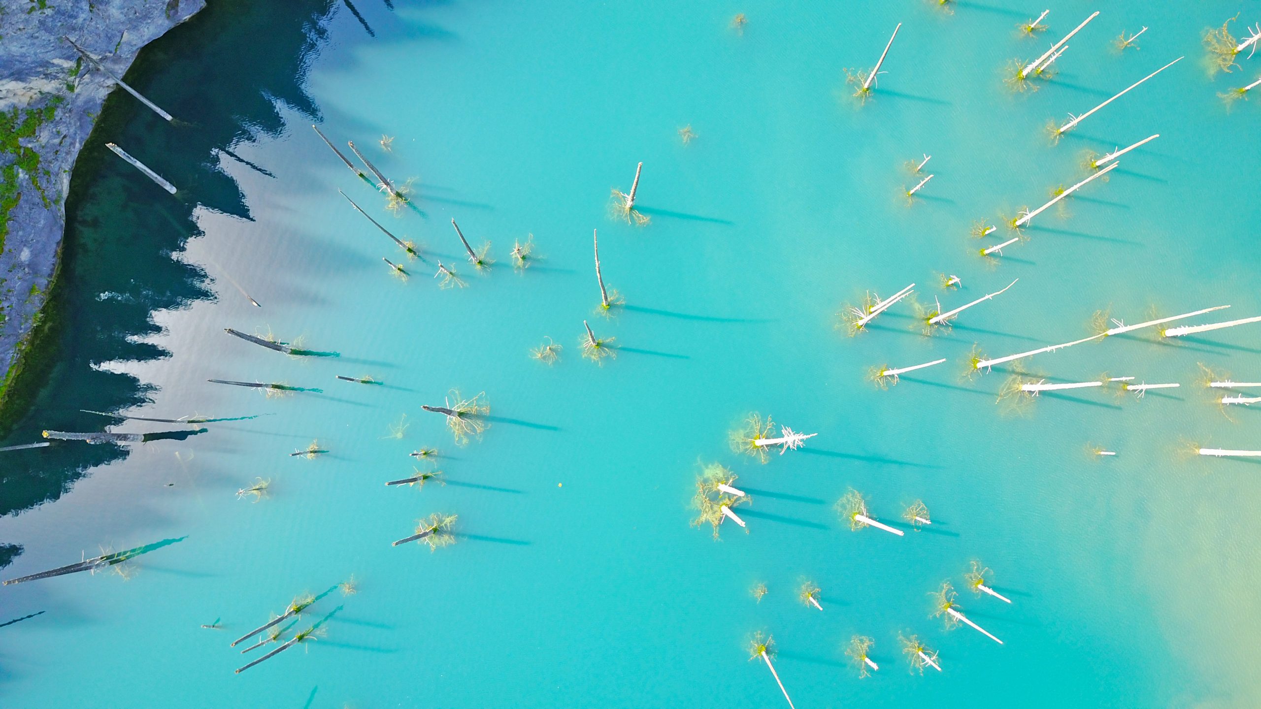 Udachi Edition - udachi.co.th : บริษัท อูดาชี จำกัด